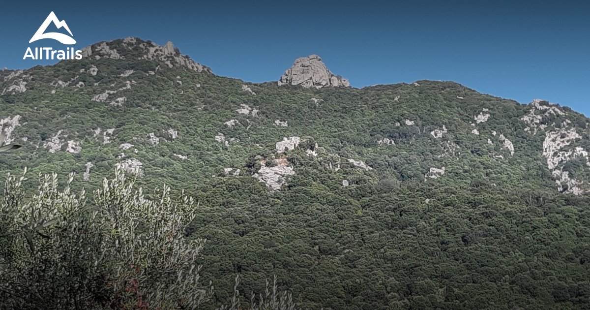 Olmeto : les meilleures randonnées et itinéraires | AllTrails