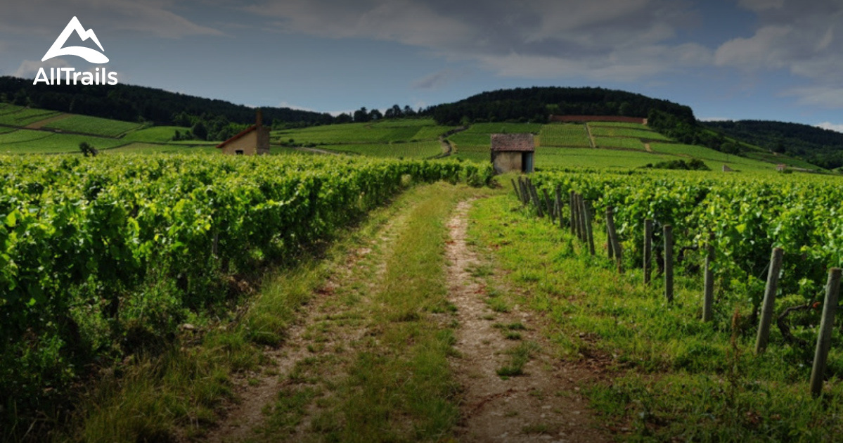 10 Best trails and hikes in Beaune | AllTrails