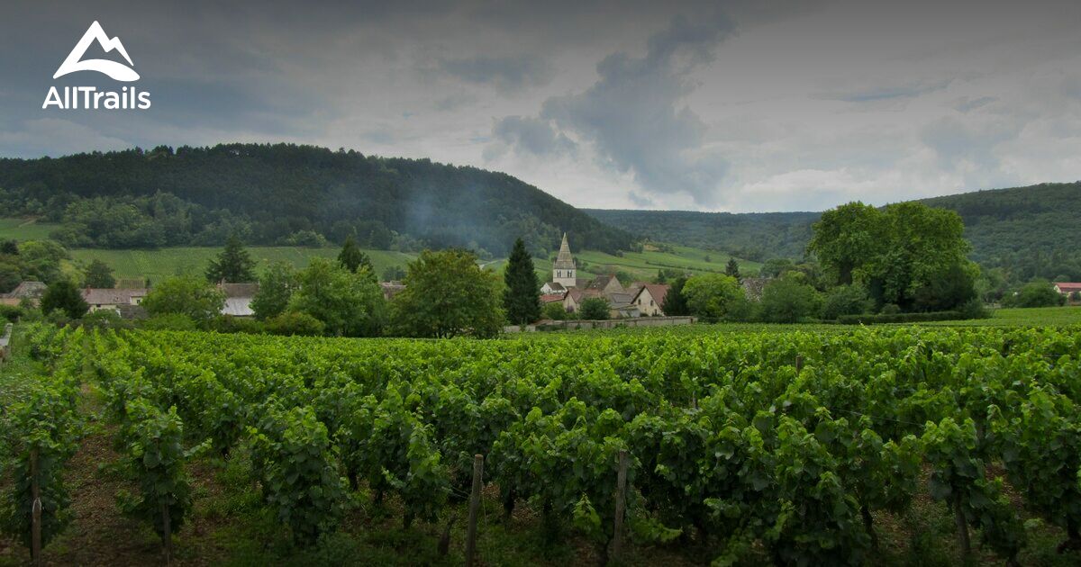 10 Best trails and hikes in Meursault | AllTrails