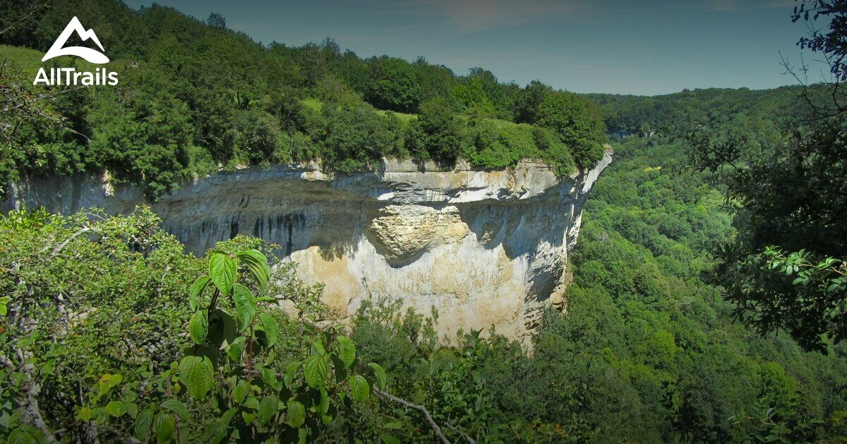 Best forest trails in Vauchignon | AllTrails