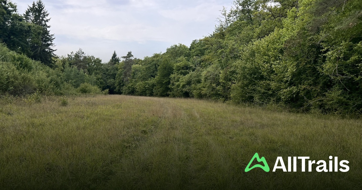 Best easy trails in Verdonnet | AllTrails