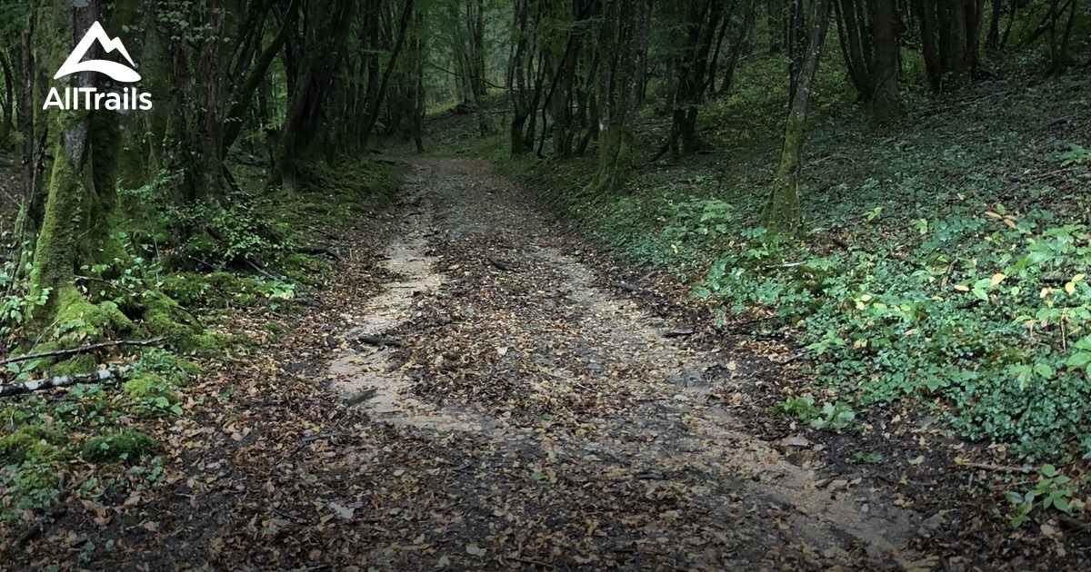 Best Hikes and Trails in Issac | AllTrails