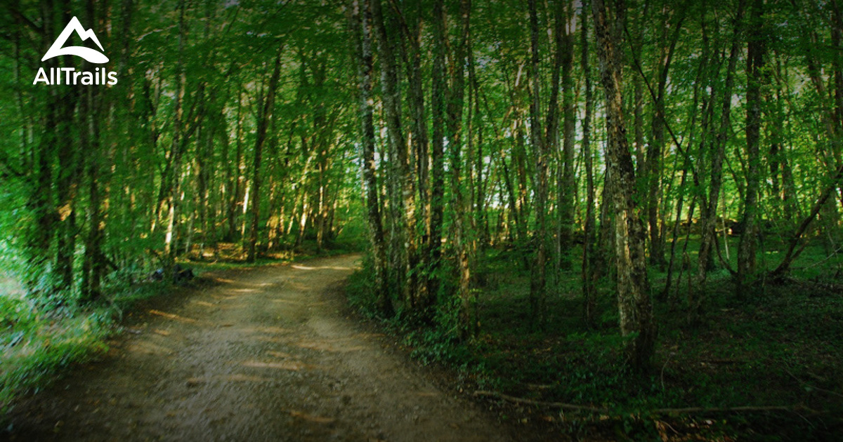 Best hikes and trails in Nabirat | AllTrails