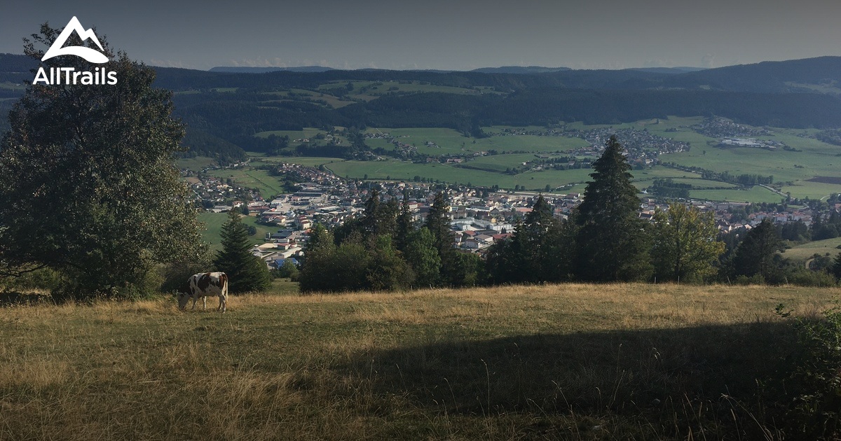 2023 Best Forest Trails in Les Fins | AllTrails
