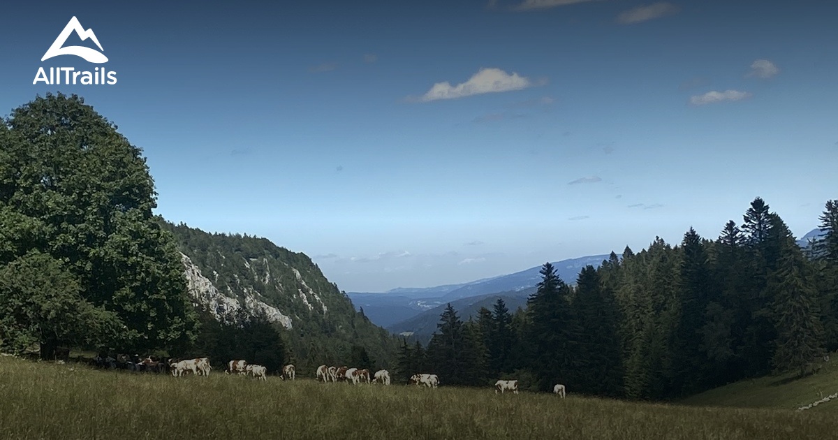 Best camping trails in Les Gras | AllTrails