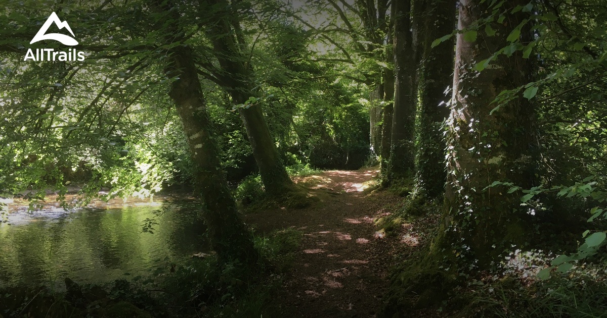 Taulé : les meilleures randonnées et itinéraires | AllTrails