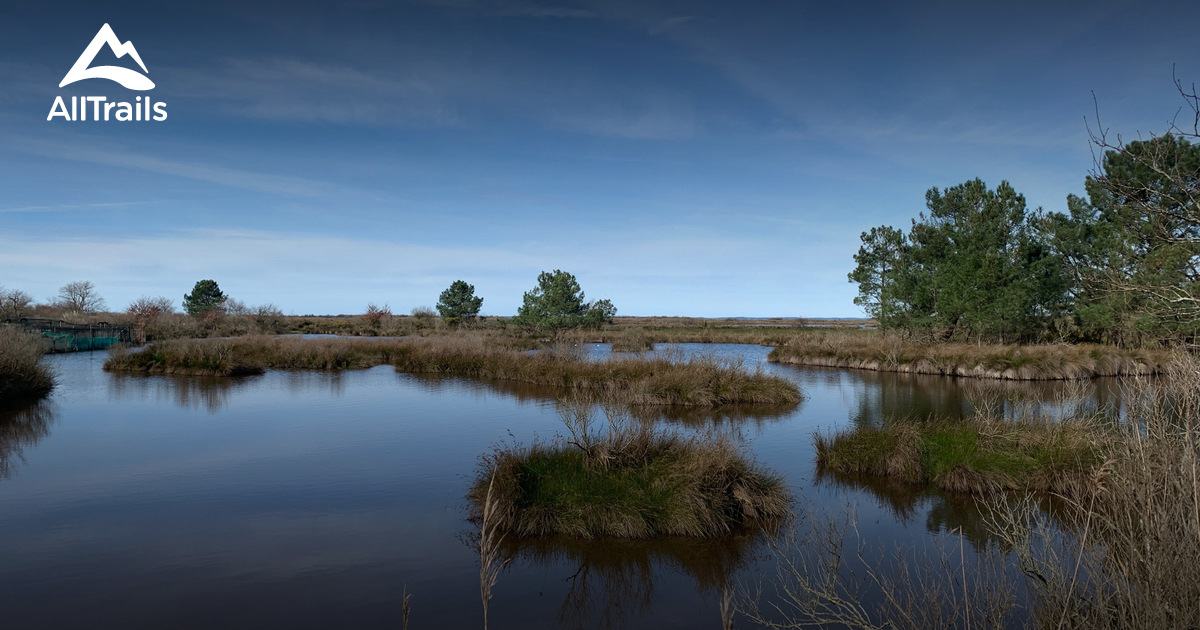 Best beach trails in Gujan-Mestras | AllTrails