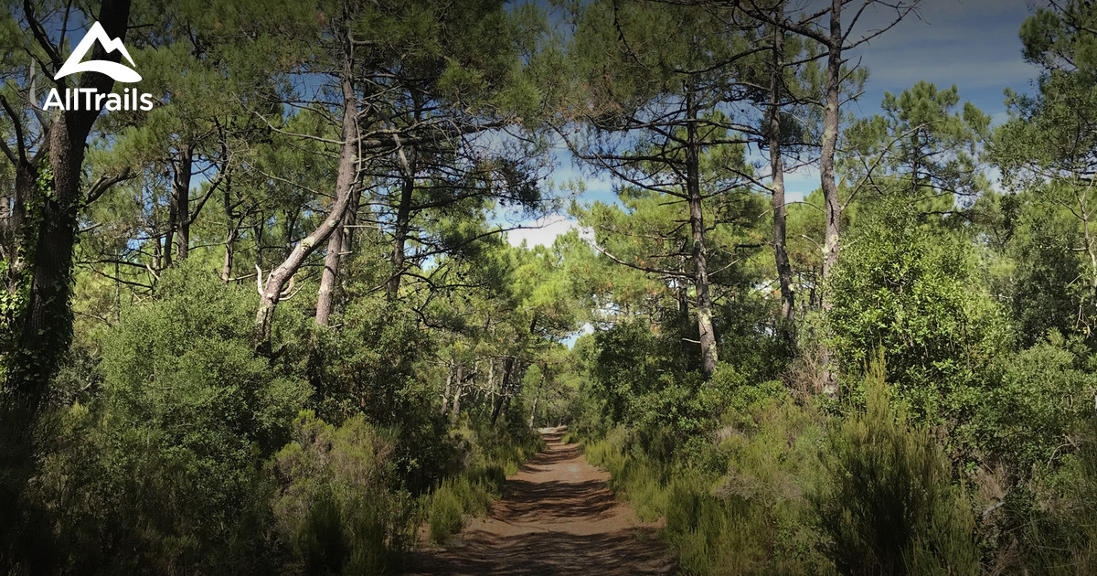 Best hikes and trails in Naujac-sur-Mer | AllTrails