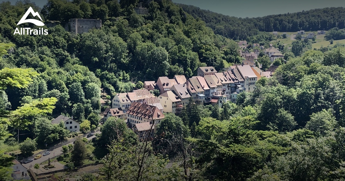 10 Best forest trails in Ferrette | AllTrails