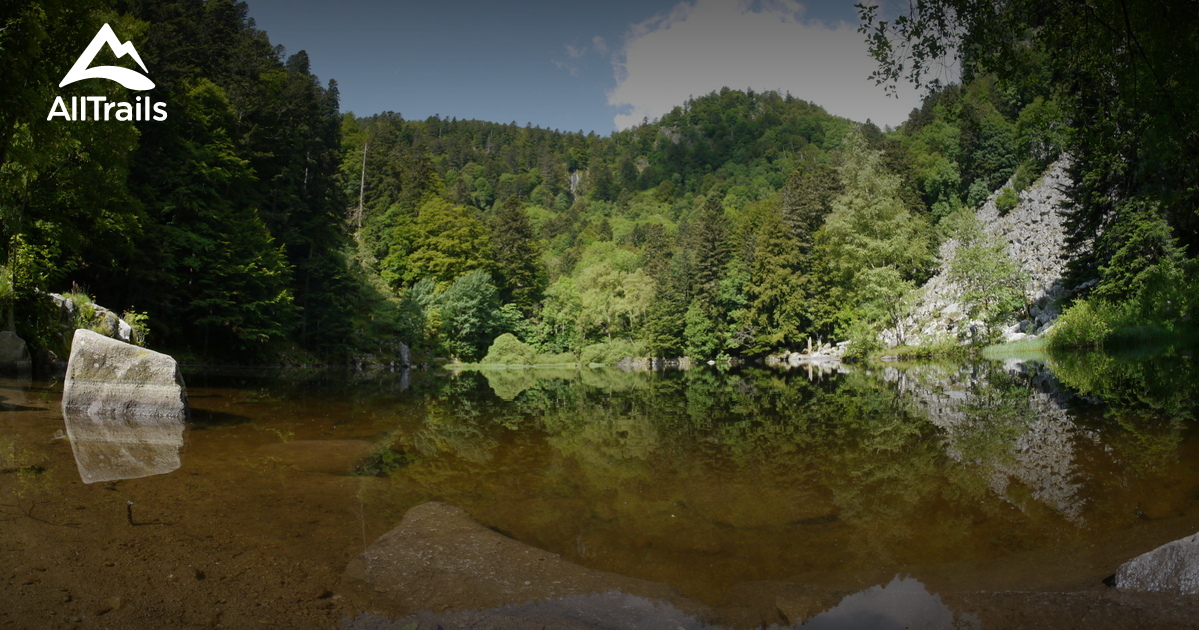 Best long trails in Metzeral | AllTrails