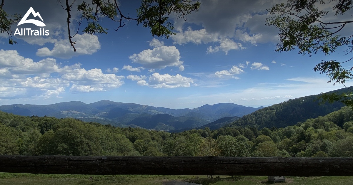 Best moderate trails in Moosch | AllTrails