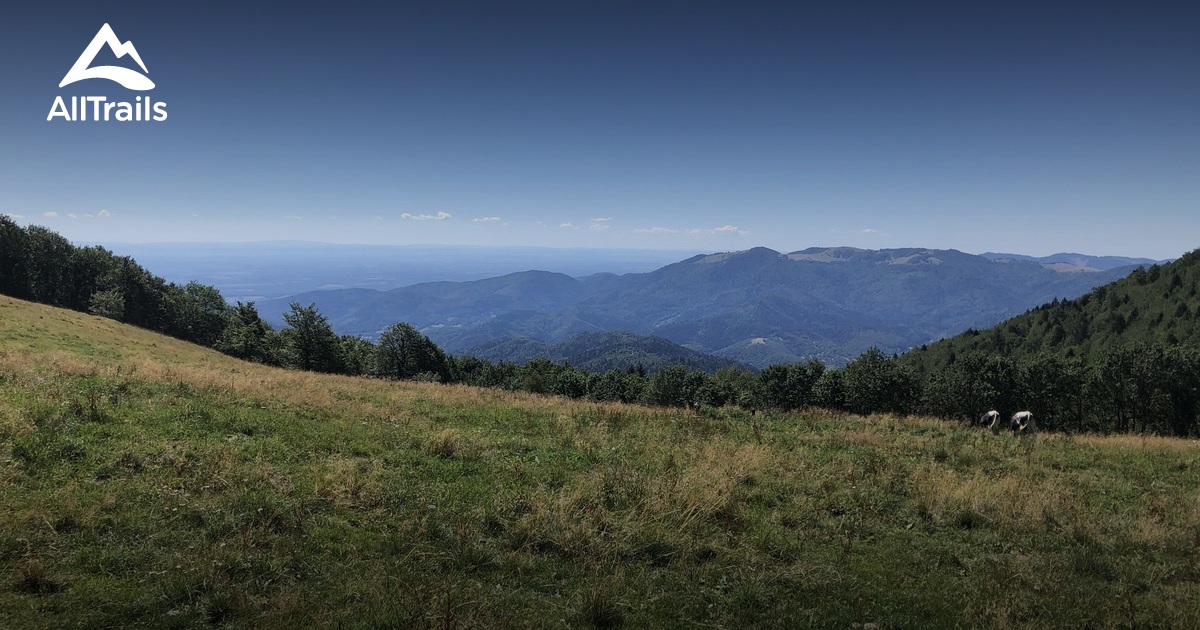 Najlepsze trudne szlaki w: Willer-sur-Thur | AllTrails