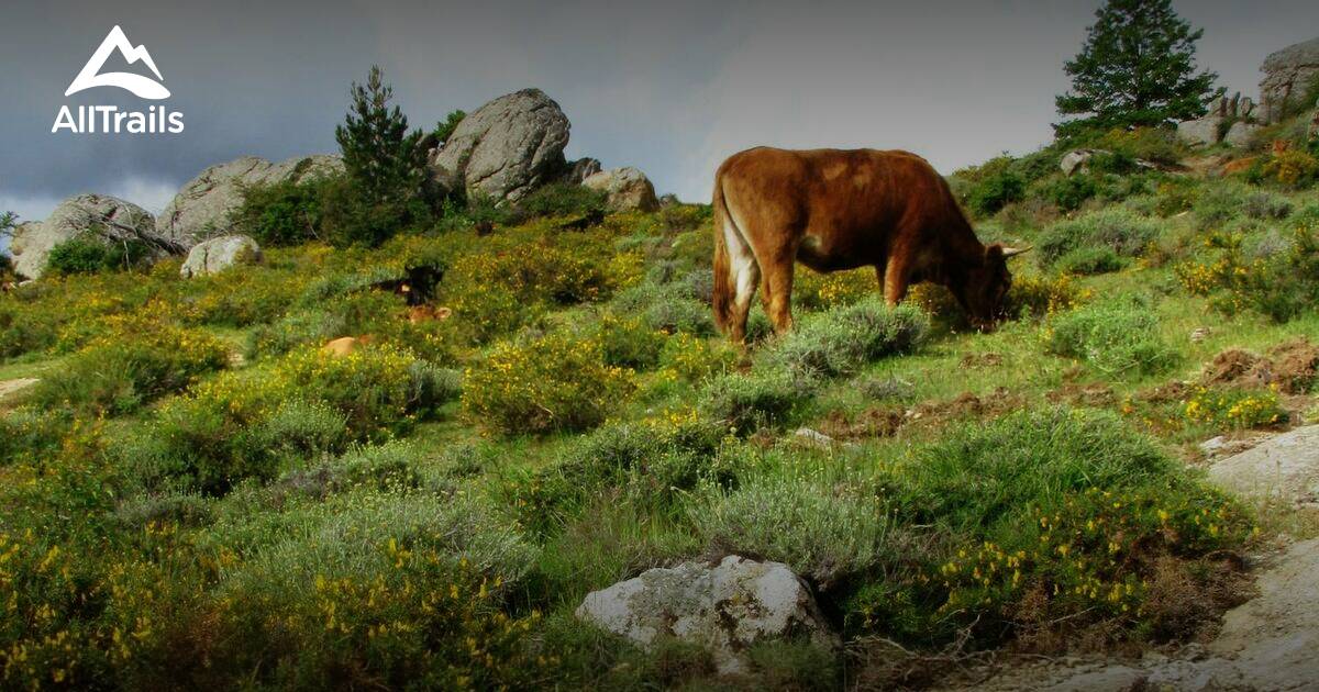 Best hikes and trails in Lozzi | AllTrails