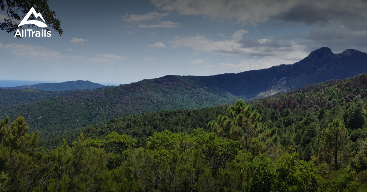 Best hikes and trails in Solaro | AllTrails