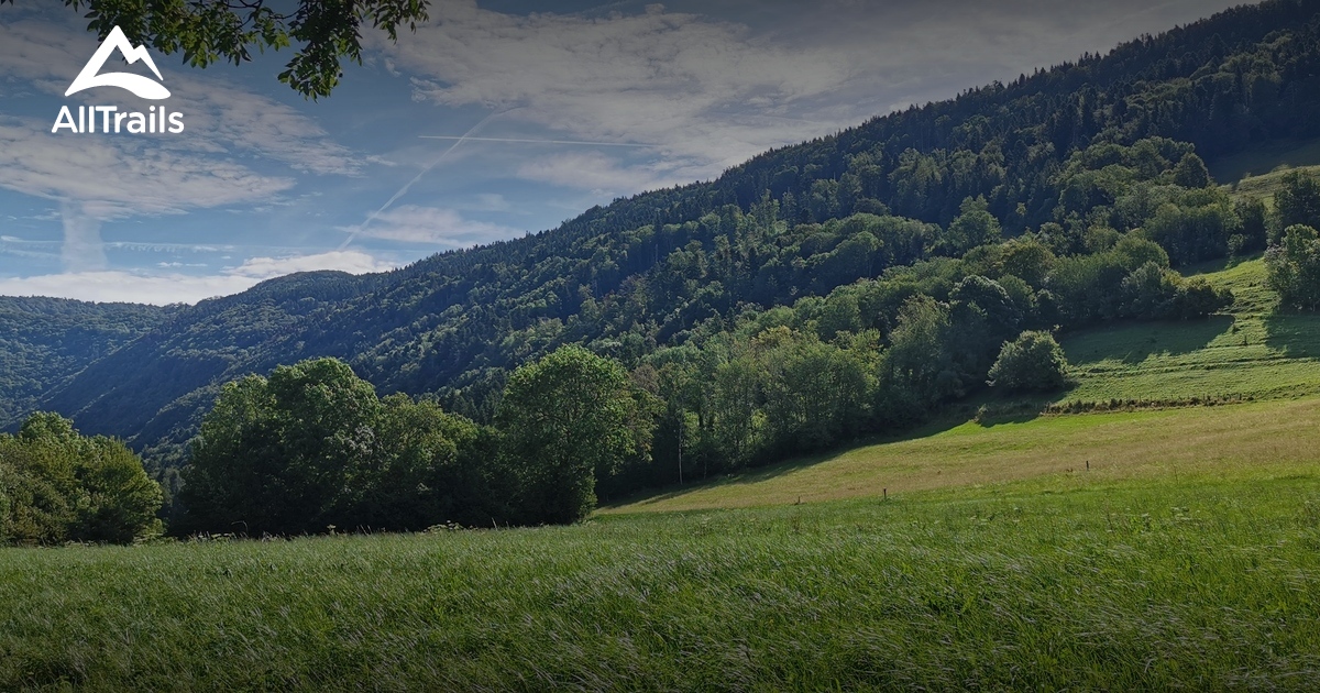 Best hikes and trails in Beaumont | AllTrails