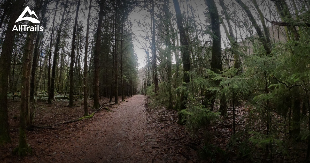 Best hikes and trails in Epagny Metz-Tessy | AllTrails