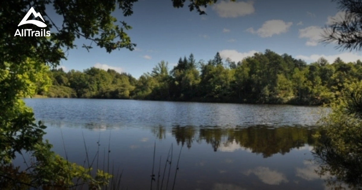 Marval : les meilleurs itinéraires en forêt | AllTrails