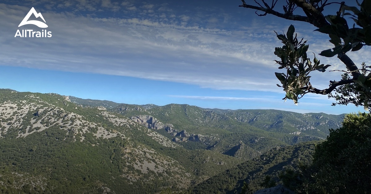 Puéchabon : les meilleures randonnées et itinéraires | AllTrails