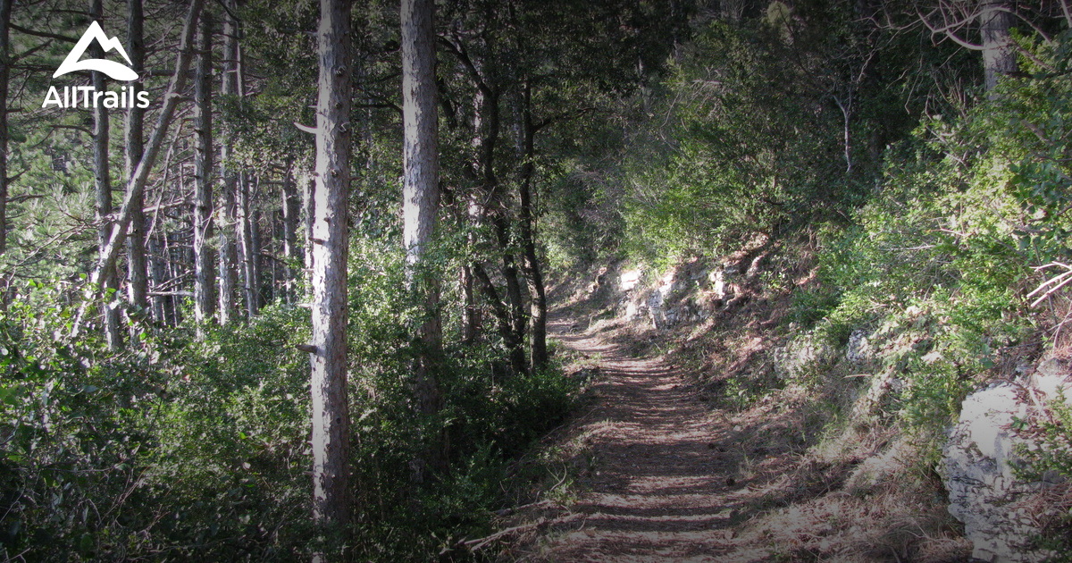 Best long trails in Saint-Étienne-de-Gourgas | AllTrails