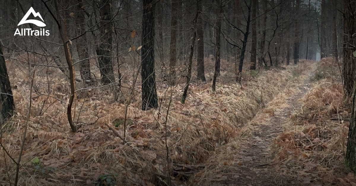 Best lake trails in Betton | AllTrails