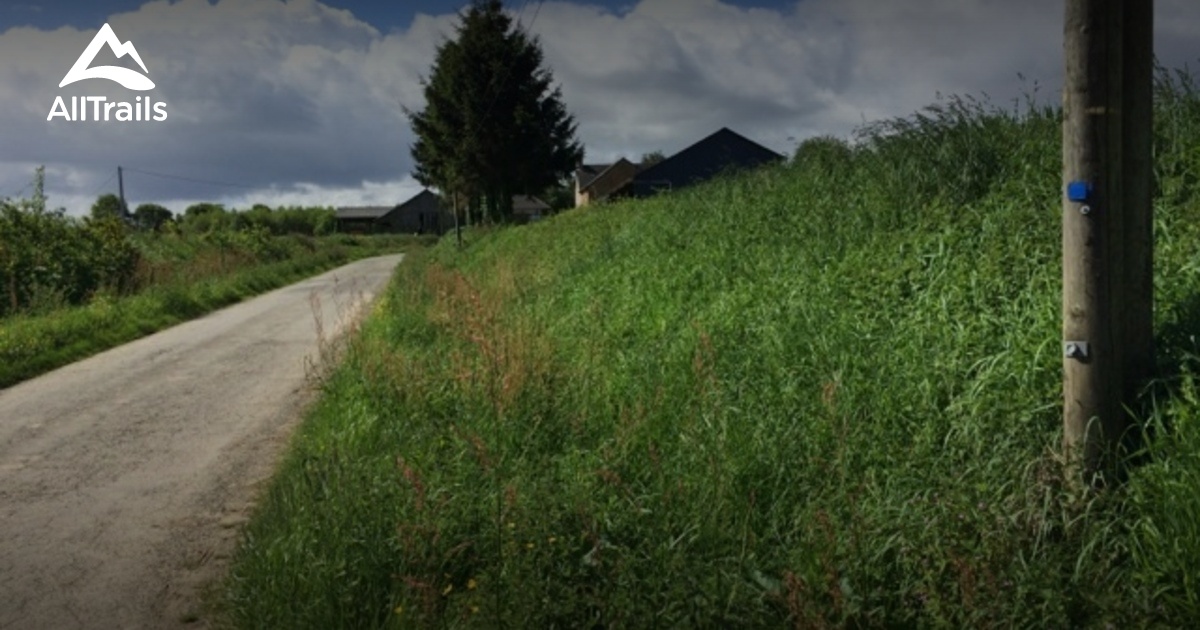 Best moderate trails in La Baussaine | AllTrails