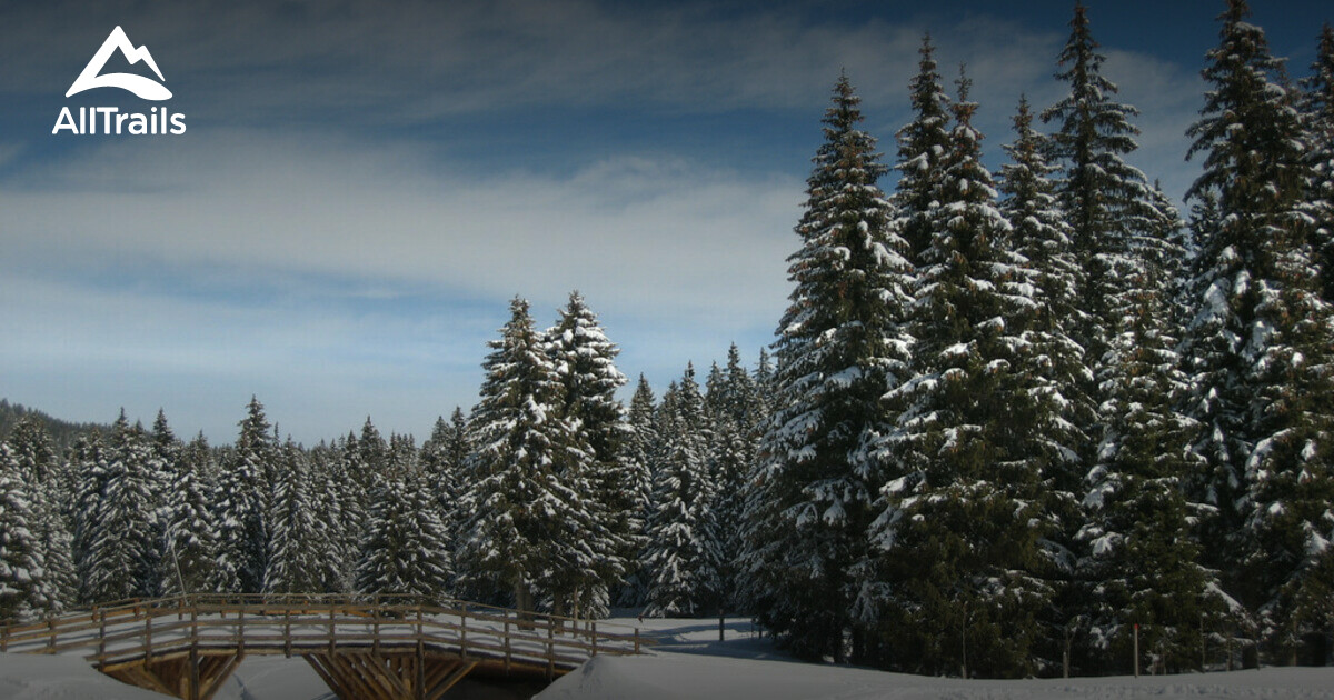 Autrans : les 10 meilleures randonnées et itinéraires | AllTrails