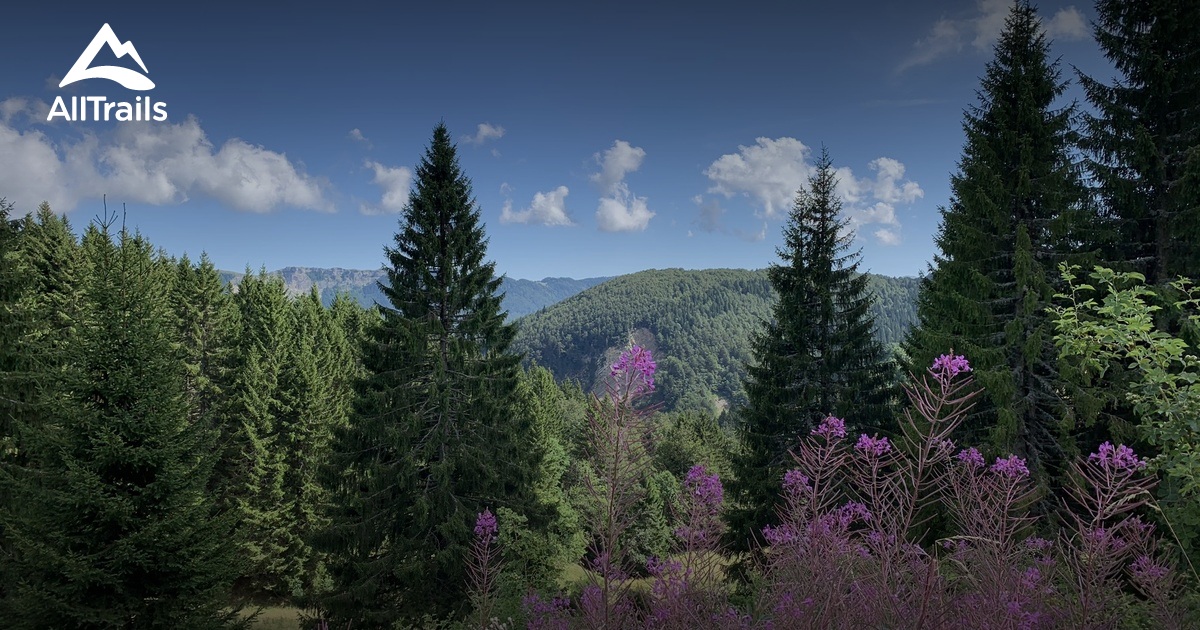 Les Molunes : les meilleures randonnées et itinéraires | AllTrails