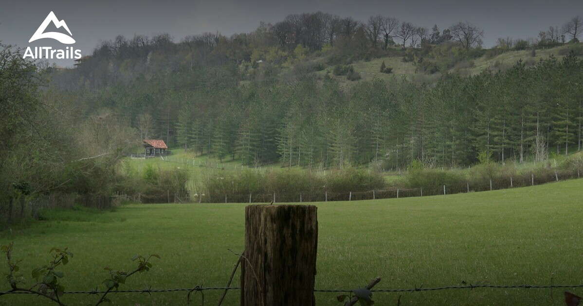 Best Hikes and Trails in Pimbo | AllTrails