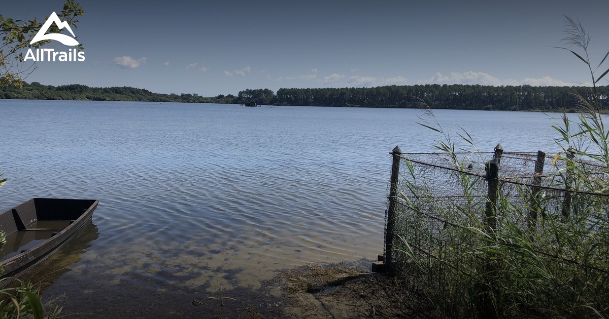 Soustons : les meilleures randonnées et itinéraires | AllTrails