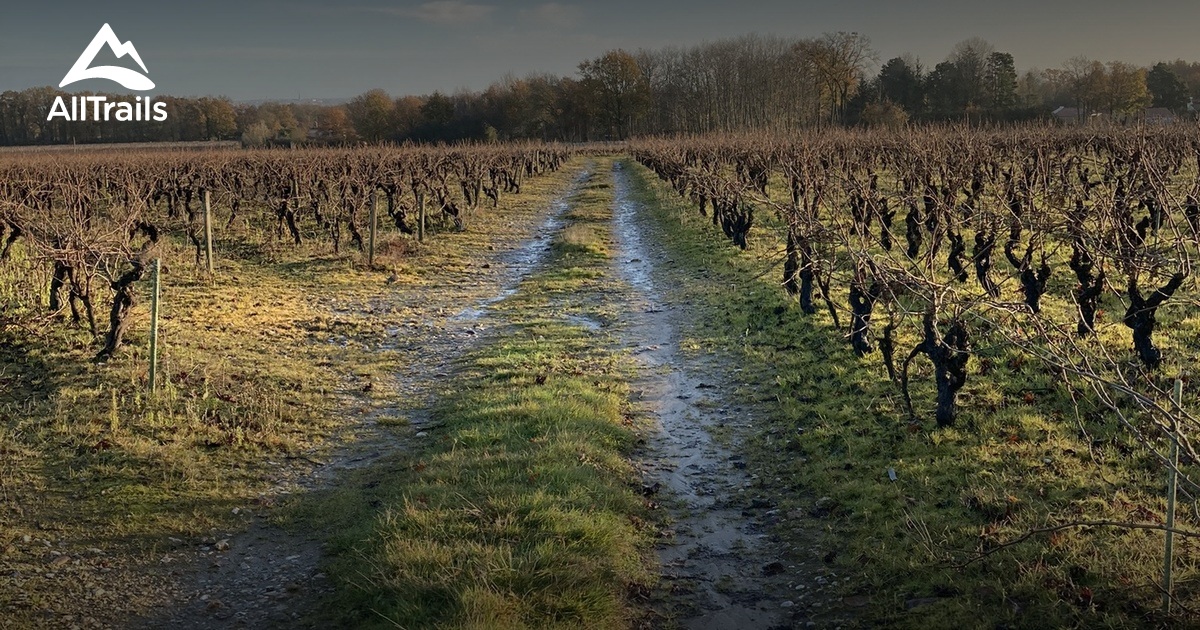 Best moderate trails in Haute-Goulaine | AllTrails