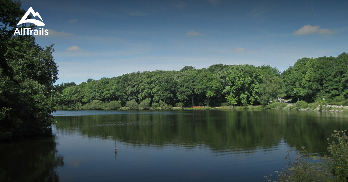 Best hikes and trails in Savenay | AllTrails