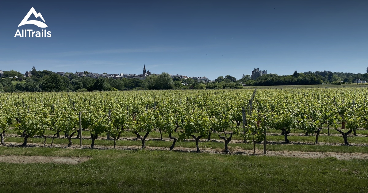 Best moderate trails in Vauchrétien | AllTrails