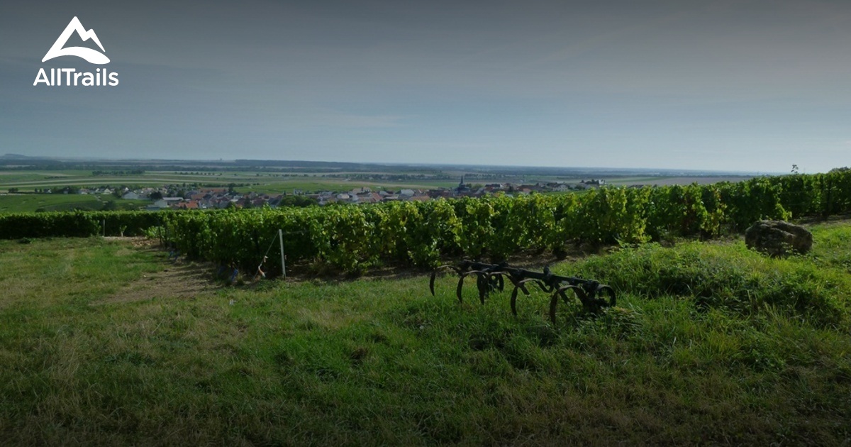 Najlepsze szlaki z kwiatami w: Reims | AllTrails