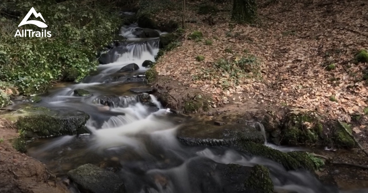 2023 Best 10 Trails and Hikes in Elven | AllTrails