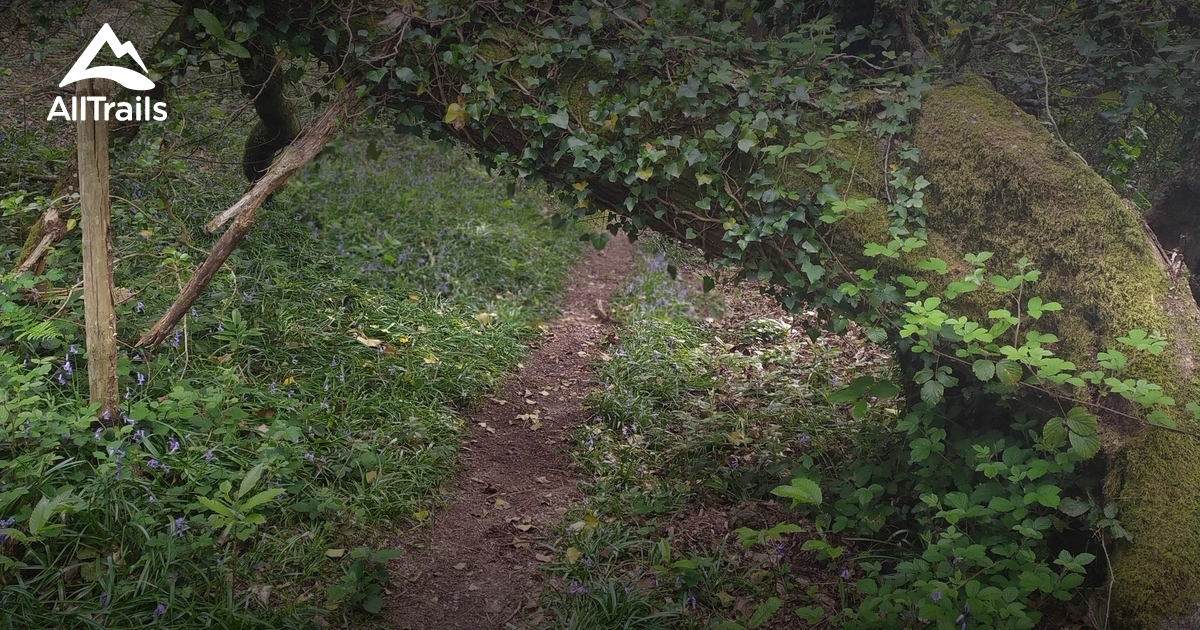 Best moderate trails in Grand-Champ | AllTrails