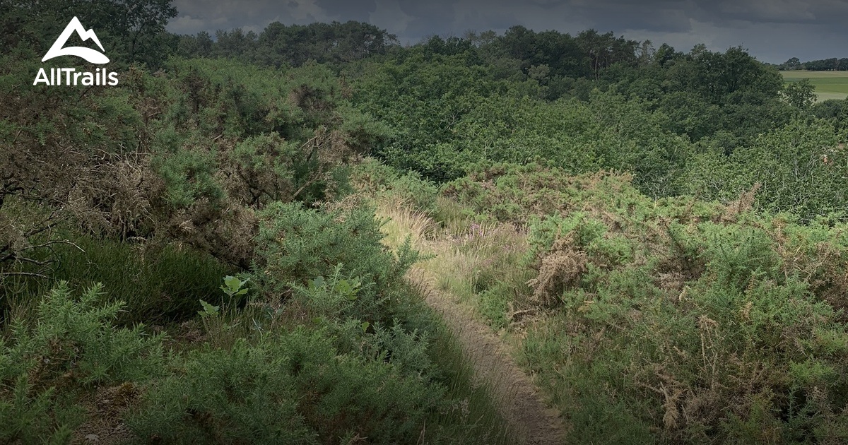 Best hikes and trails in Guer | AllTrails