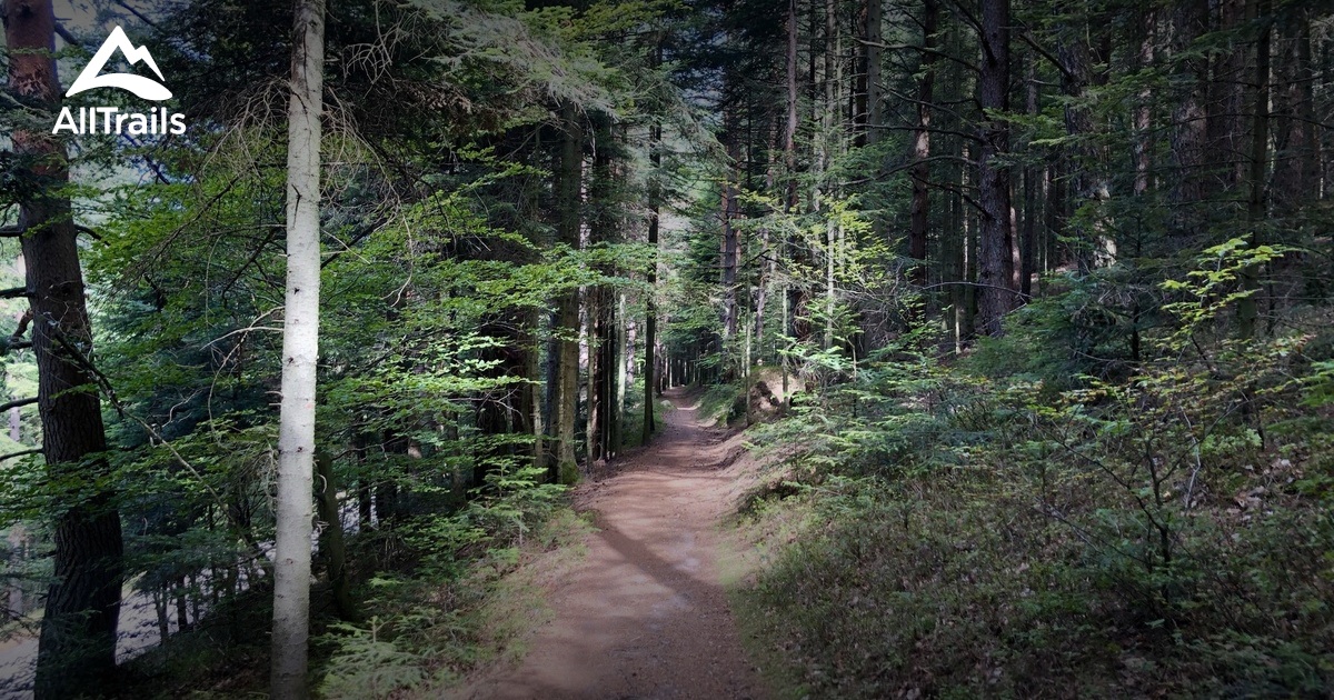 De beste routes langs rivieren in Dabo | AllTrails