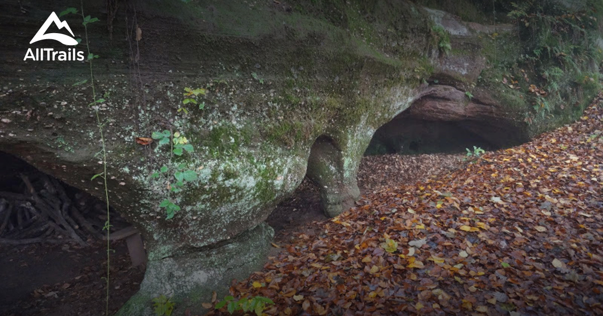 Lemberg : les meilleures randonnées avec une grotte | AllTrails