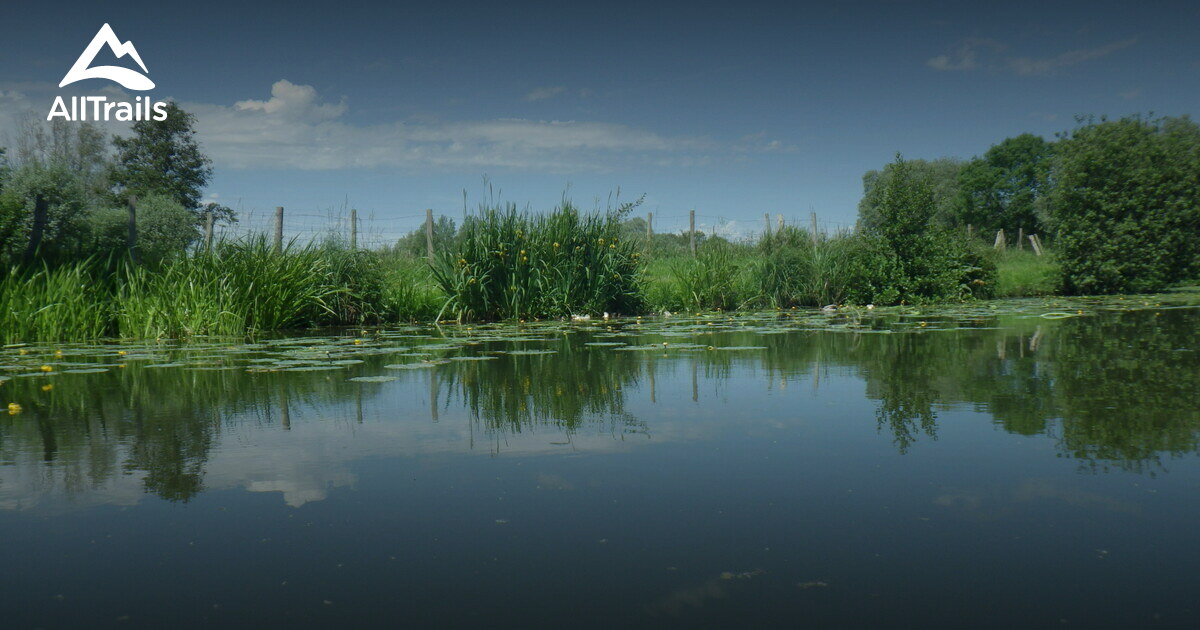 Melhores trilhos moderados em Saint-Omer | AllTrails