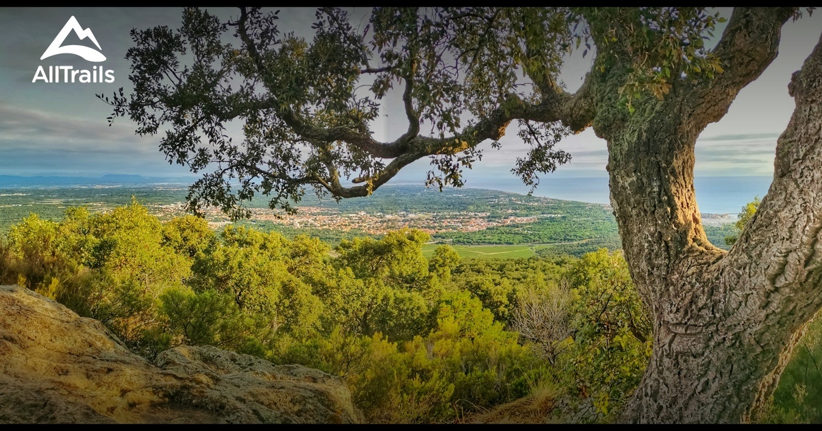 Najlepsze szlaki biwakowe w: Argelès-sur-Mer | AllTrails