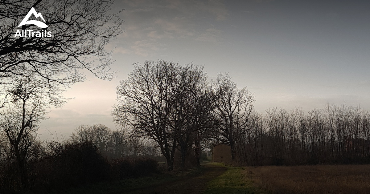 Best Hikes and Trails in Charnay | AllTrails