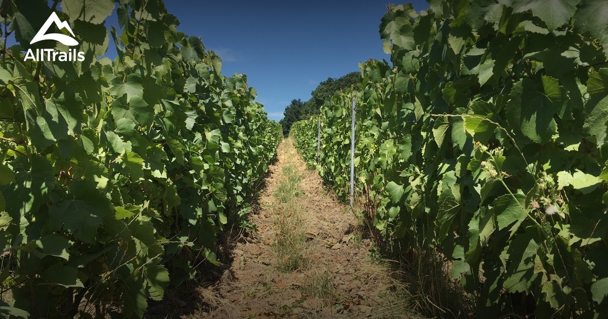 Best long trails in Saâcy-sur-Marne | AllTrails