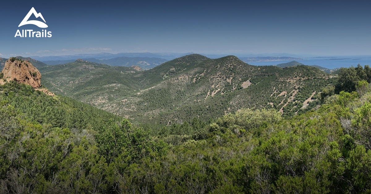 Best hikes and trails in Miramar | AllTrails