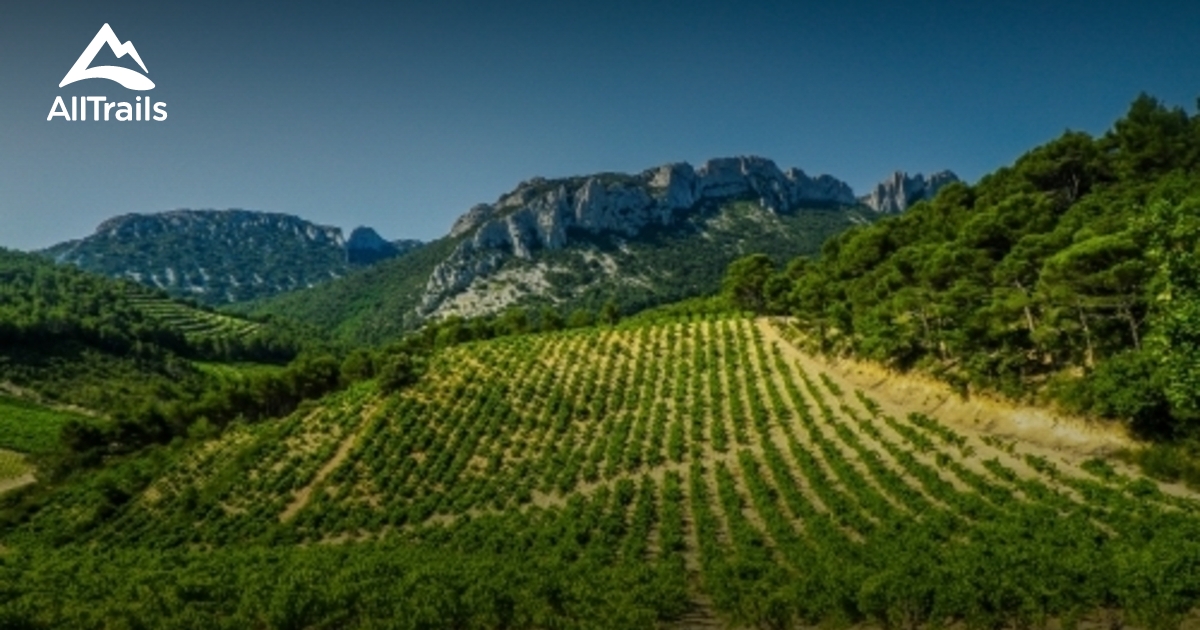 Best forest trails in Le Barroux | AllTrails