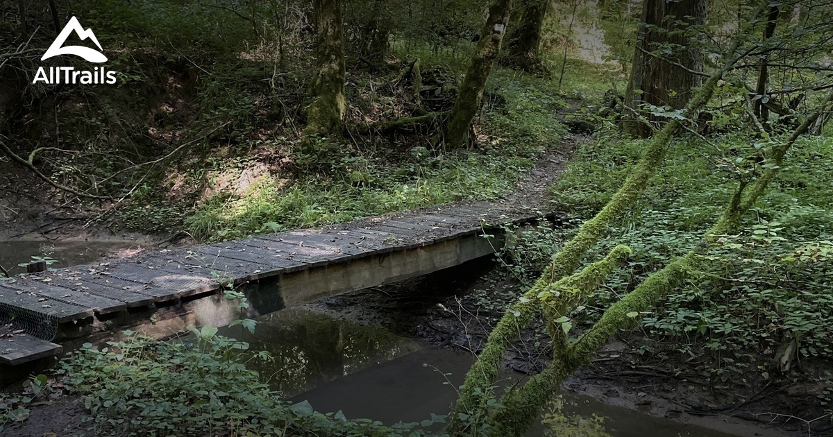 Best hikes and trails in Marey | AllTrails