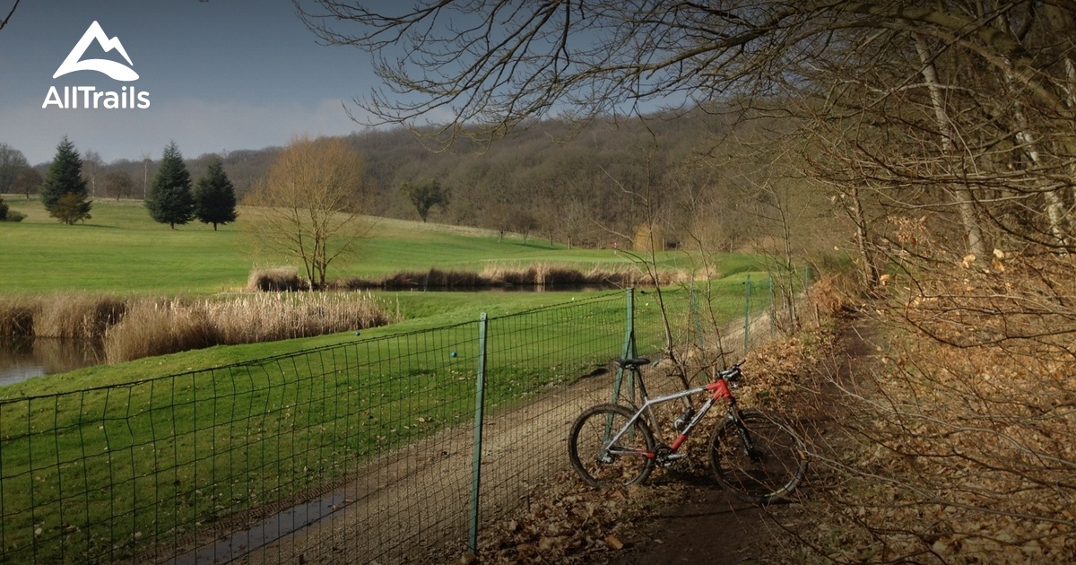 Chavenay : les meilleures randonnées et itinéraires | AllTrails