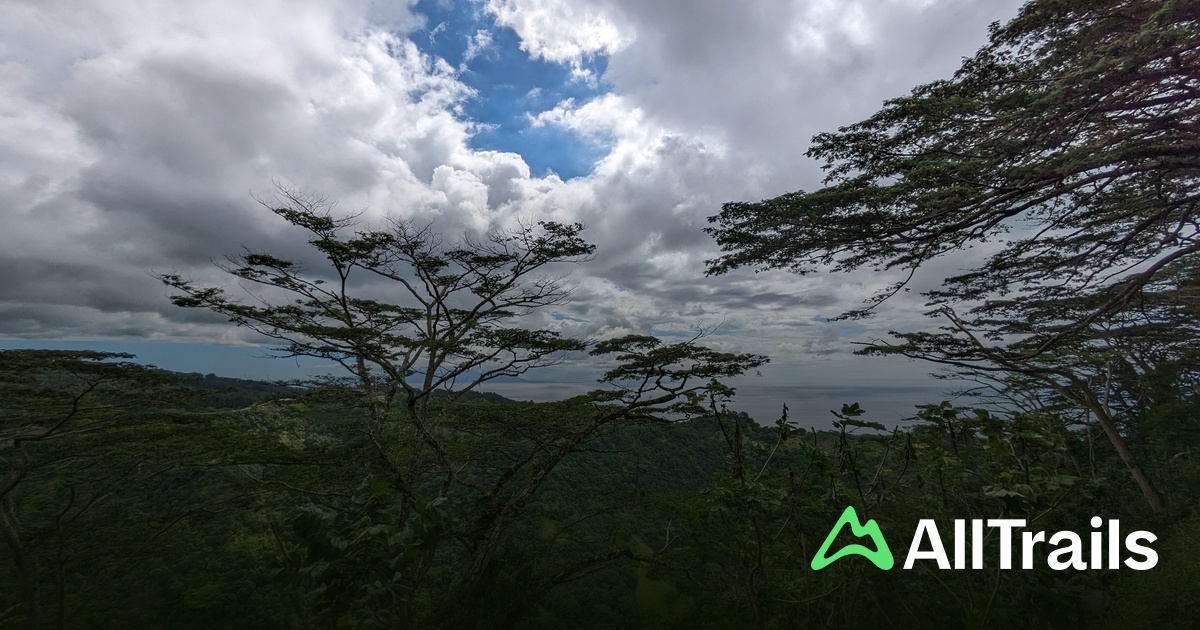 Best hikes and trails in Mahina | AllTrails