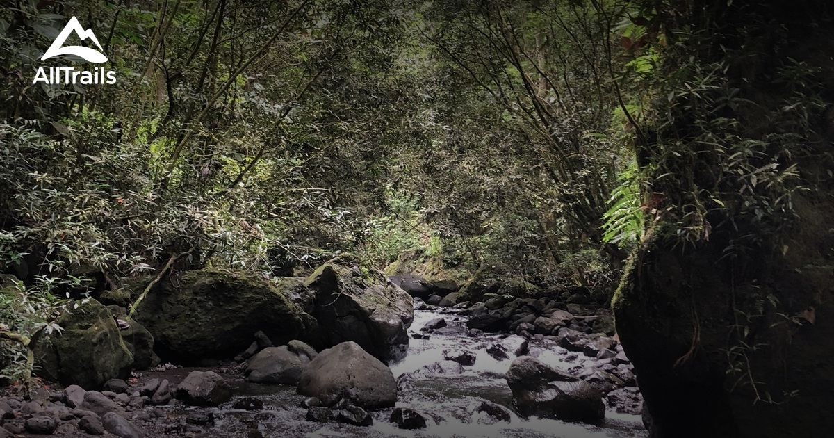 Best forest trails in Papeete | AllTrails