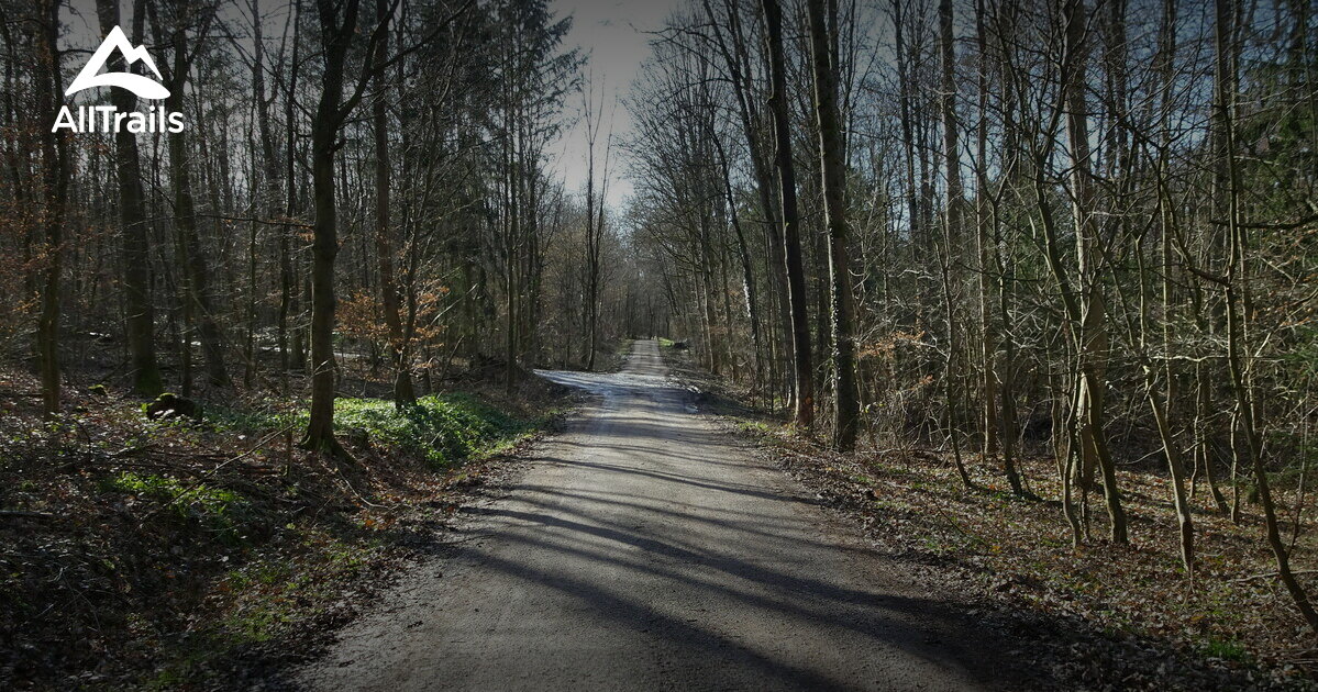 Best camping trails in Bad Schönborn | AllTrails
