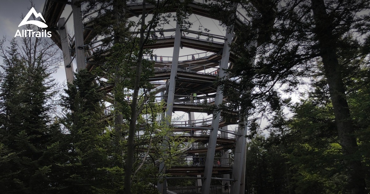 10 Best trails and hikes in Bad Wildbad | AllTrails